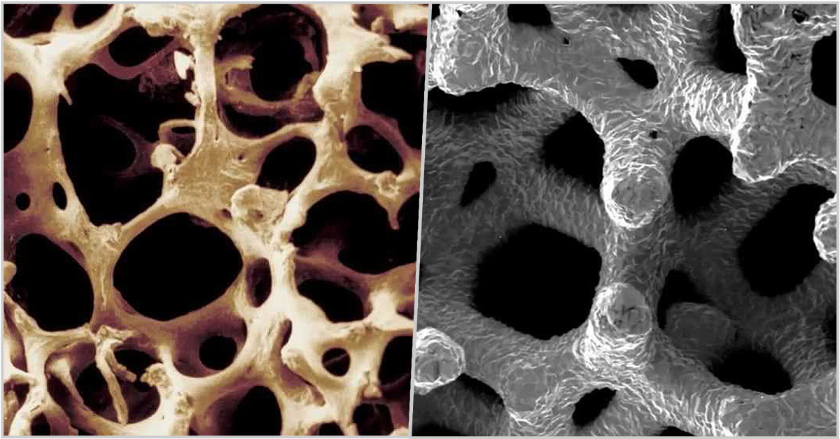 Leading the Way With EDM - KMM Blog